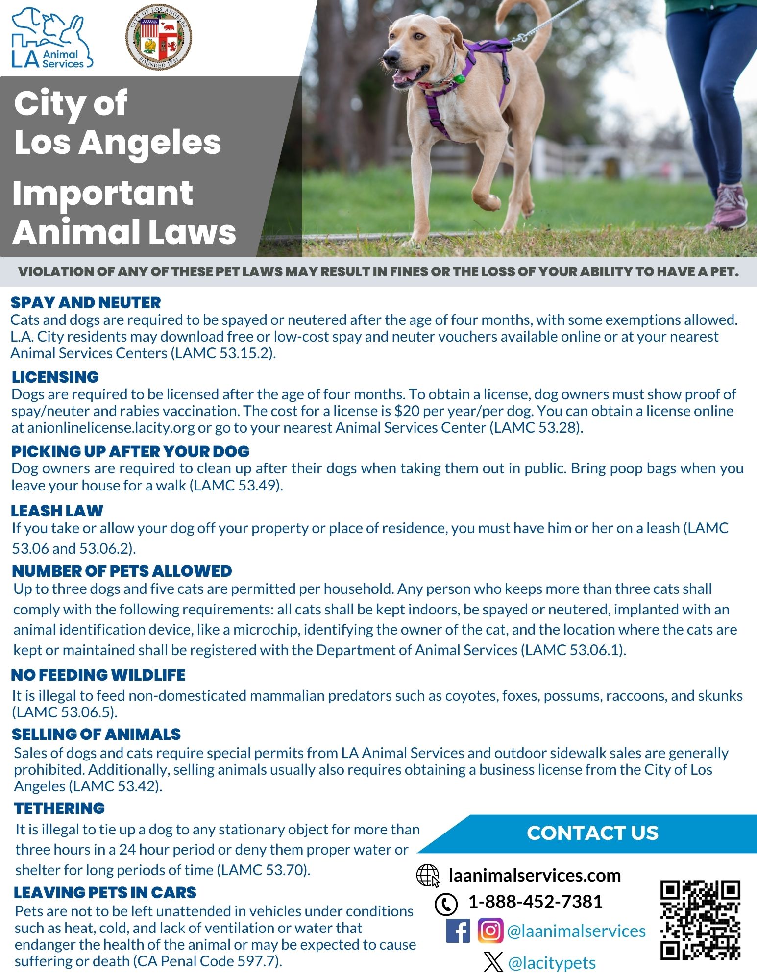 Important Pet Laws LA Animal Services important-pet-laws-la-animal-services